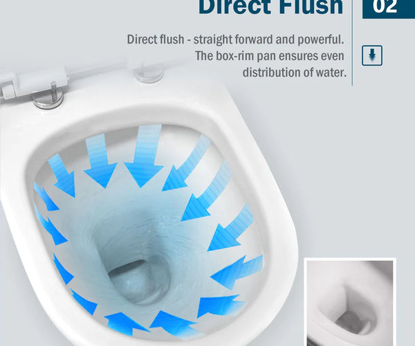 Box Rim Toilet Collection – Zure